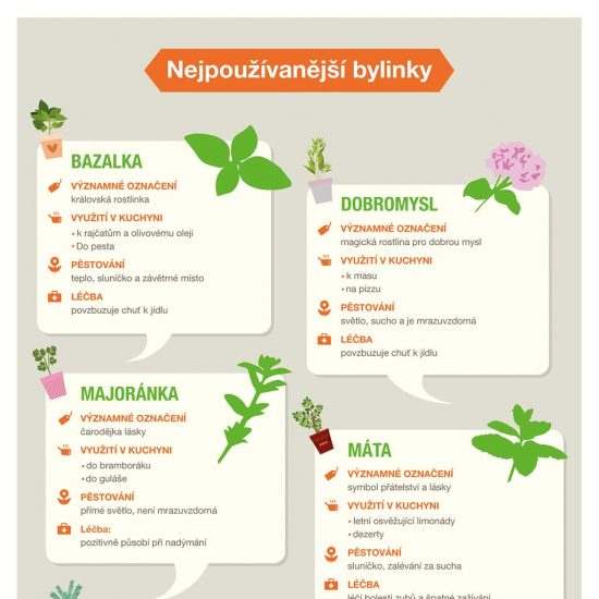 Infografika: Nejpoužívanější bylinky v kuchyni i jako lék - Jak v kuchyni