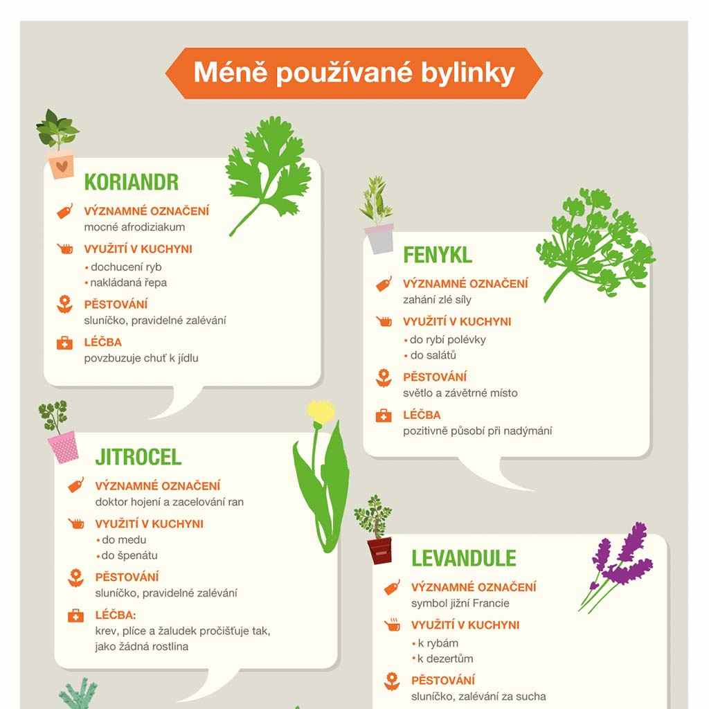 Infografiky: Méně používané bylinky v kuchyni - Jak v kuchyni