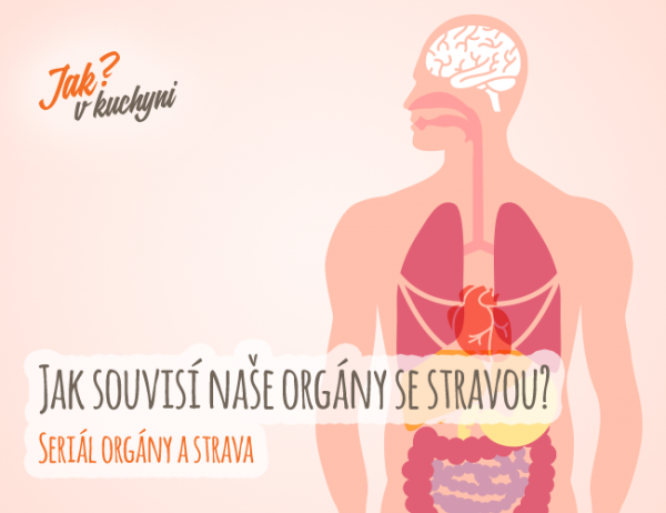 Seriál Orgány a strava: Jak souvisí naše orgány se stravou? - Jak v kuchyni